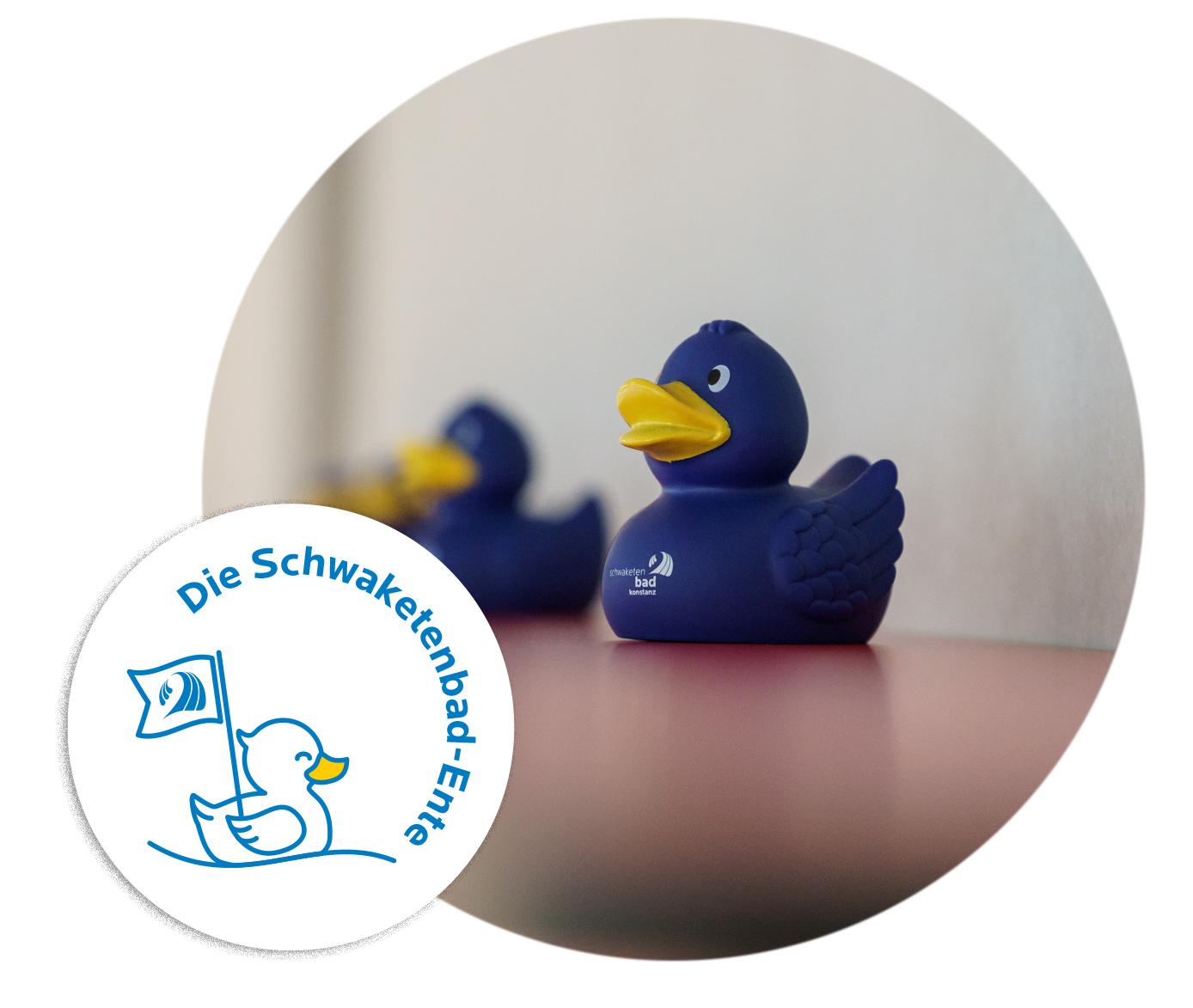 Das größte Freizeitbad am Bodensee | Schwaketenbad